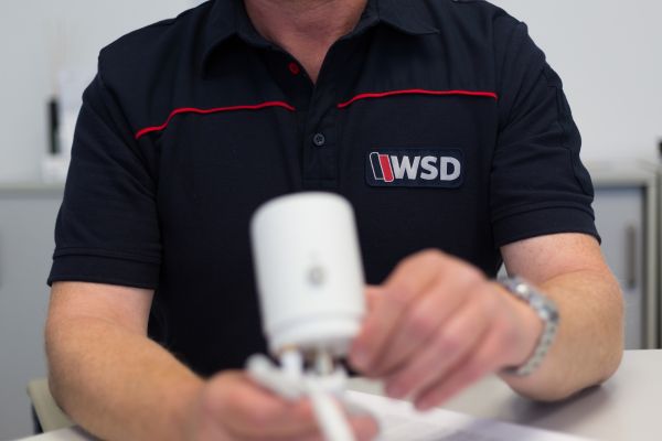 WSD solution - WSD permanent security Group